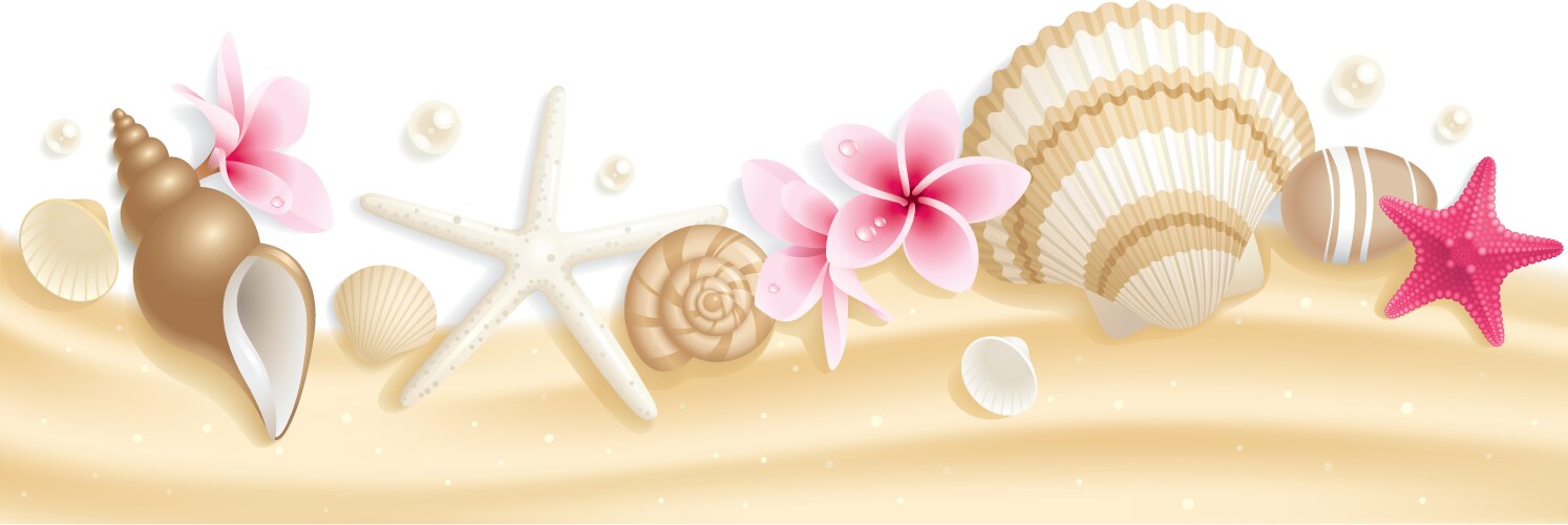 Seashell Border Vector Images (over 1,100)