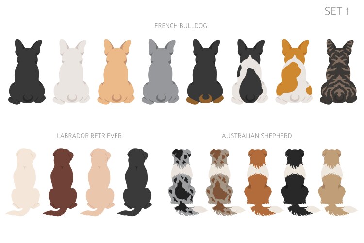 Frenchie Vector Images (over 660)
