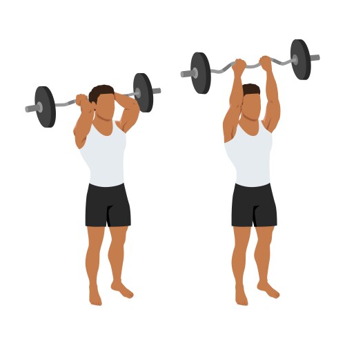 Man doing seated tricep press overhead extensions Vector Image Man doing seated tricep press overhead extensions Vector Image