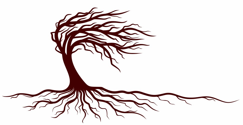 Tree Roots Vector Images (over 21,000)