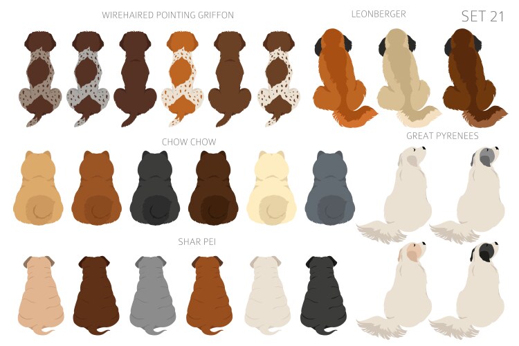 Sitting dogs backside clipart rear view Royalty Free Vector