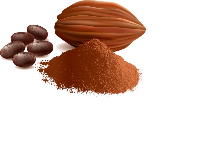 Cocoa powder detailed icon Royalty Free Vector Image