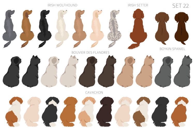 Sitting dogs backside clipart rear view Royalty Free Vector