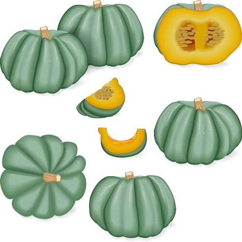 Chopped blue pumpkin clipart Royalty Free Vector Image