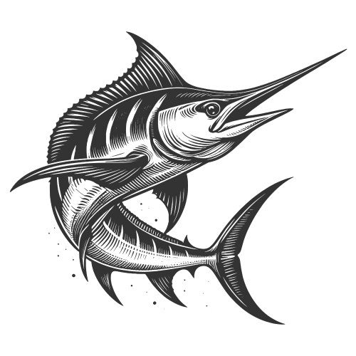 Marlin Vector Images (over 3,500)
