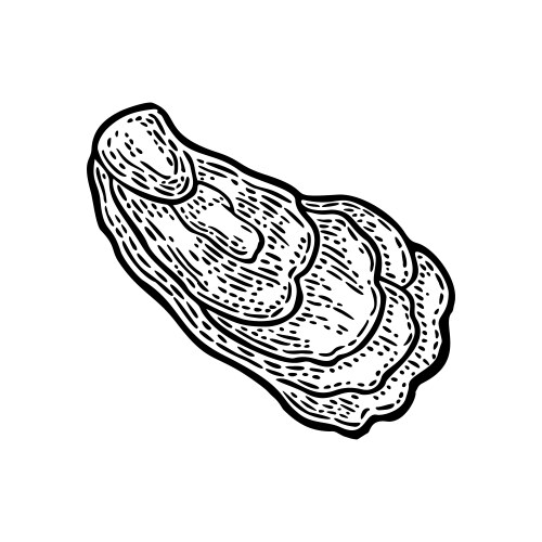 Oyster Vector Images (over 16,000)