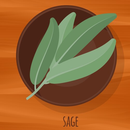 Sage Vector Images (over 8,100)