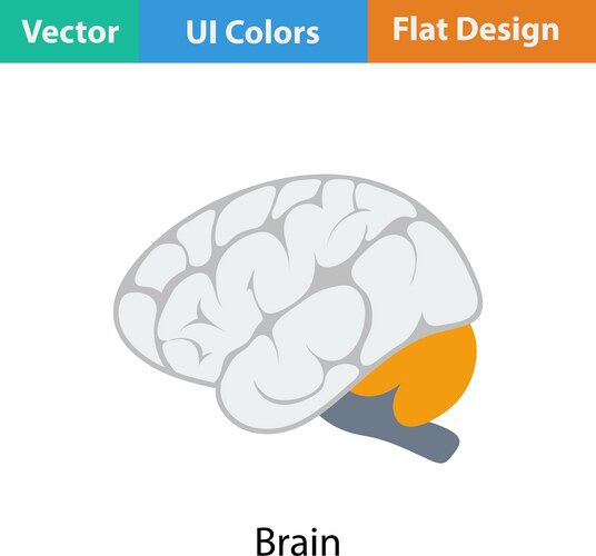 Human brain icon creation and idea concept Vector Image