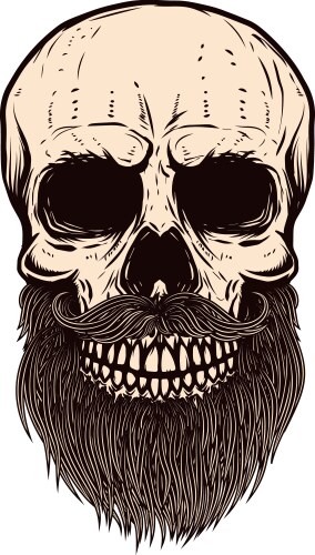Skull with beard Royalty Free Vector Image - VectorStock