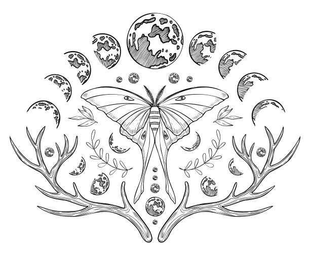 Moth Outline Vector Images (over 6,000)
