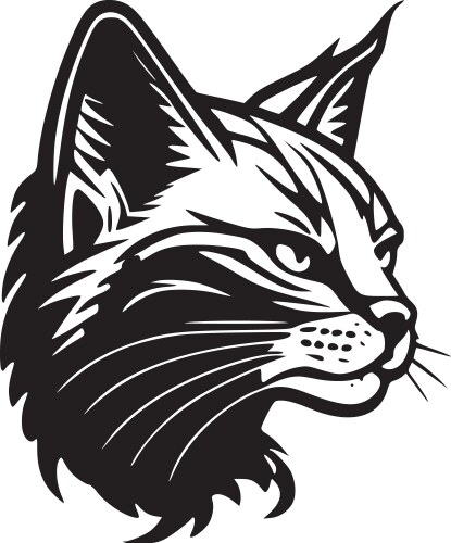 Wildcat Vector Images (over 12,000)