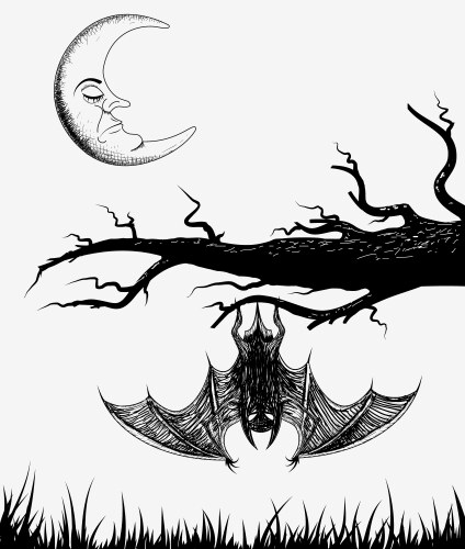 Bat Doodle Vector Images (over 10,000)