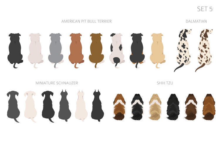 Sitting dogs backside clipart rear view Royalty Free Vector