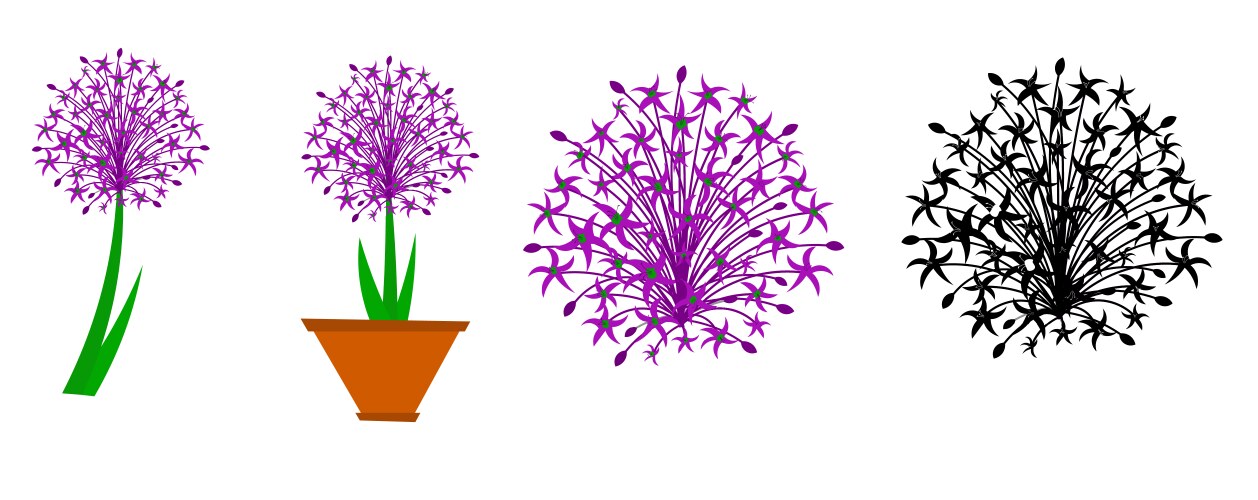 Allium Vector Images (over 1,000)