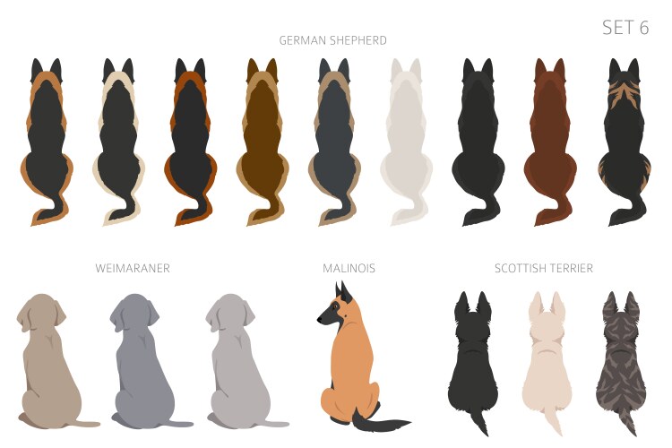 Sitting dogs backside clipart rear view Royalty Free Vector