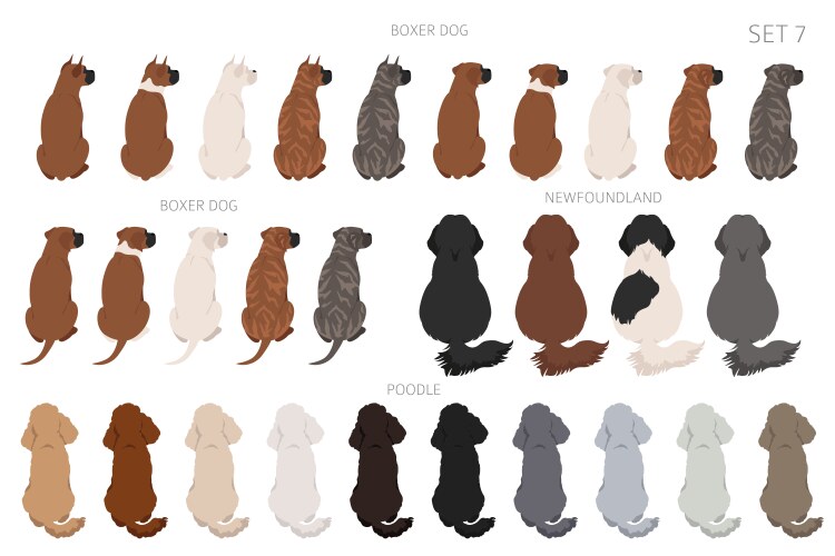 Back of Sitting Dog Vector Images (over 420)