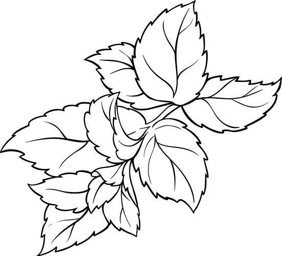 Mint Outline Vector Images (over 7,600)