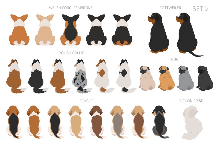 Sitting dogs backside clipart rear view Royalty Free Vector