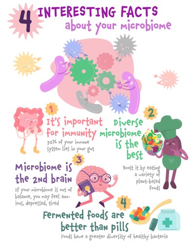 Microbiome Vector Images (over 1,800)