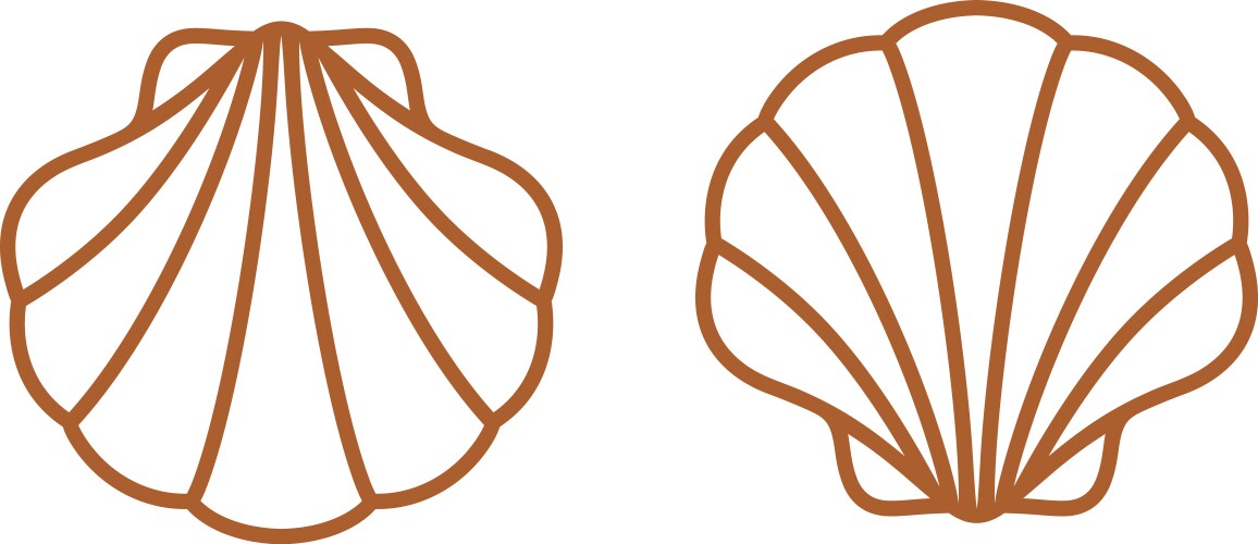 Scallop Royalty Free Vector Image - VectorStock