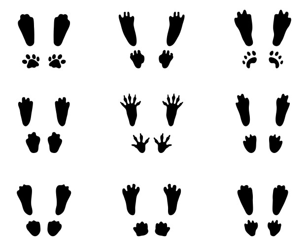 Rabbit Tracks Vector Images (over 990)