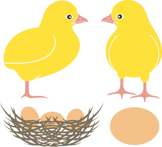 Chick Vector Images (over 39,000)