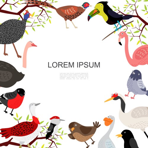 Flat beautiful birds template Royalty Free Vector Image