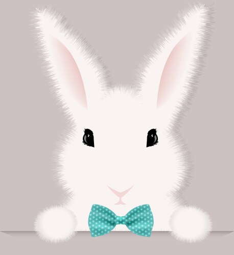 Rabbit Vector Images (over 190,000)