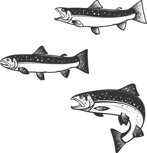 Trout Vector Images (over 13,000)