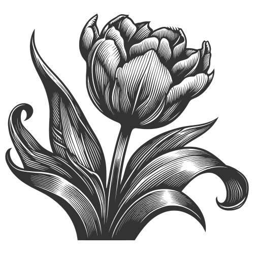 Single Tulip Vector Images (over 1,400)