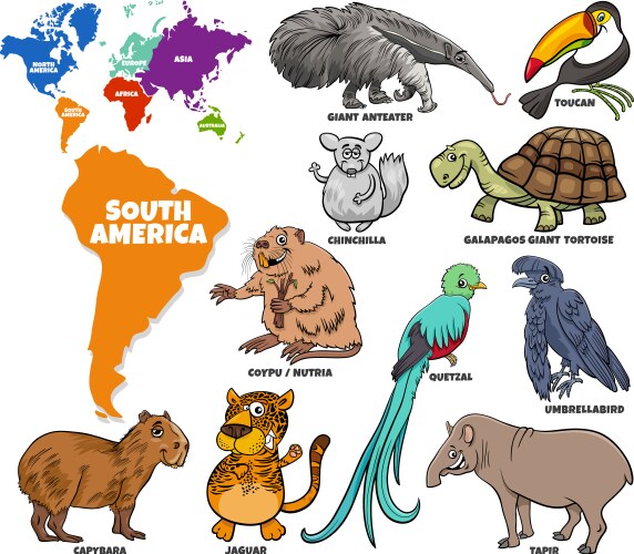 Cartoon south american animals set coloring book Vector Image