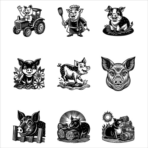 Pig Slaughter Vector Images (55)