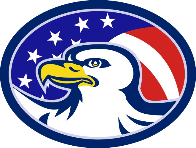 American bald eagle usa natioal symbol fourth Vector Image