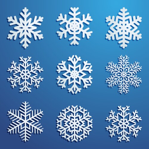 Snowflake set Royalty Free Vector Image - VectorStock