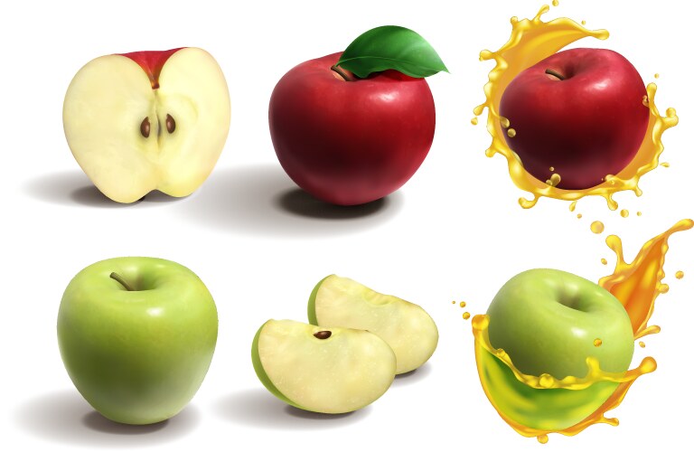 Realistic cut fruits isolated on white background Vector Image