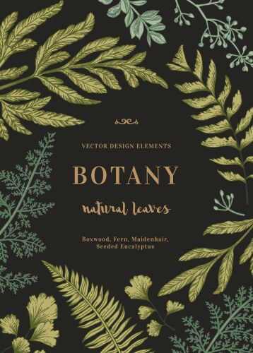 Botanical Leaves Vector Images (over 170,000)