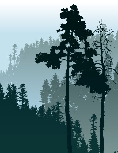 Forest Vector Images (over 730,000)
