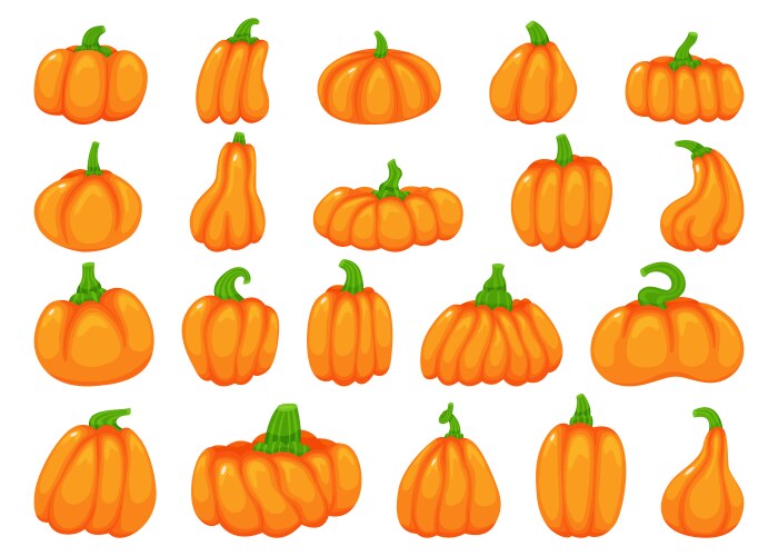 Cartoon pumpkin different shapes and sizes Vector Image