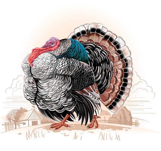 Turkey Vector Images (over 85,000)