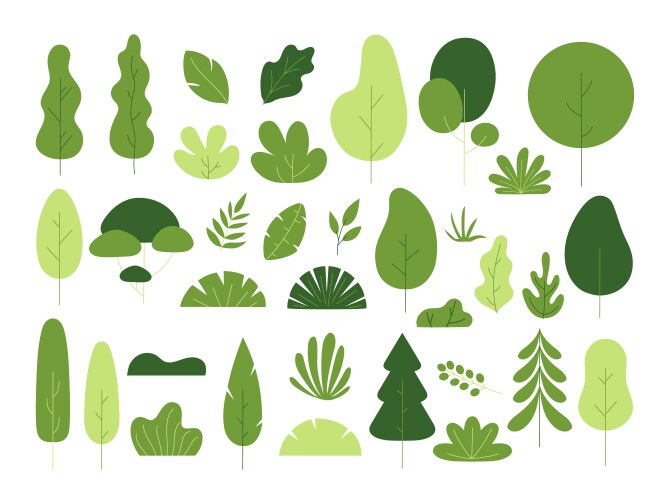 Set of tree leaves Royalty Free Vector Image - VectorStock