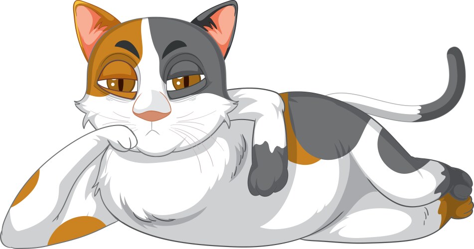 Ragdoll cat cartoon animal Royalty Free Vector Image