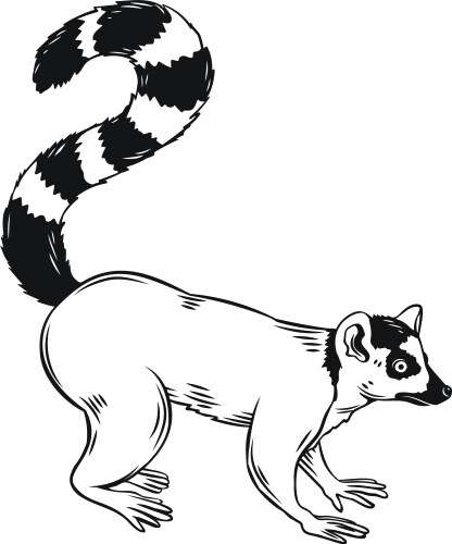 Cute lemur in flat style Royalty Free Vector Image