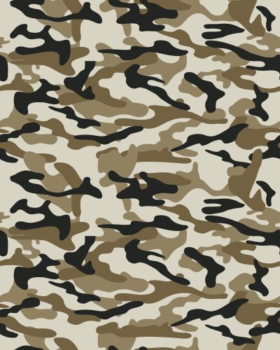 Camouflage seamless pattern camo khaki texture Vector Image