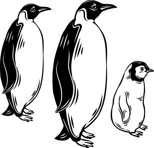 Penguin Outline Vector Images (over 2,700)