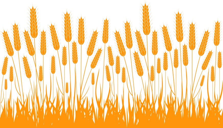 Wheat Illustration Vector Wheat Vector Images (over 130,000)