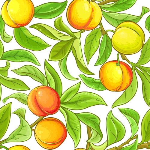 Peach Vector Images (over 35,000)