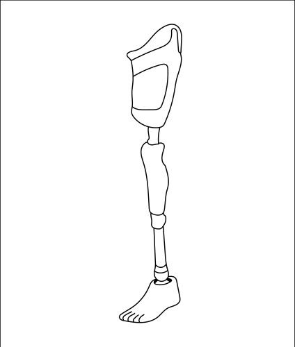 Leg prosthesis line art set artificial foot Vector Image