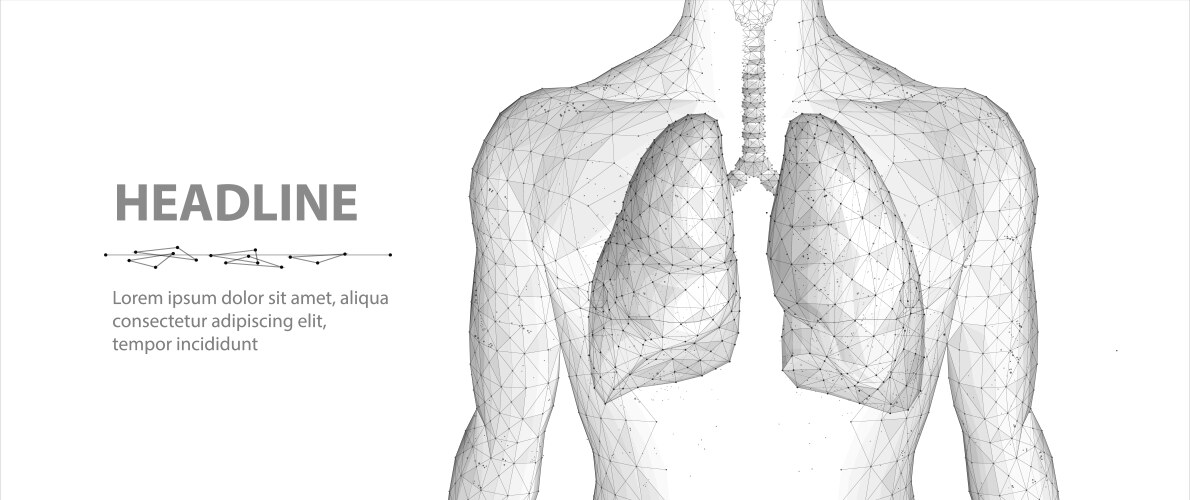 Lungs Vector Images (over 52,000)