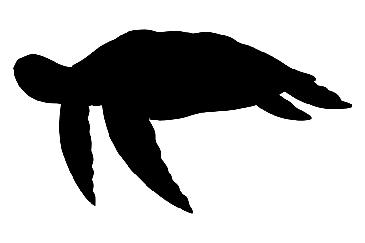 Sea Turtle Silhouette Vector Images (over 5,100)