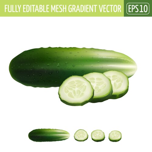 Cucumber vegetable Royalty Free Vector Image - VectorStock